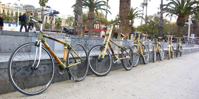 Barcelona: Private Highlights Tour by Bamboo Bicycle - Value and Pricing: Does It Make Sense?