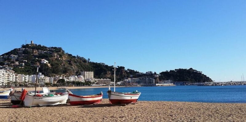 Barcelona: Private Tour Costa Brava Scuba Diving and Lunch - Key Points