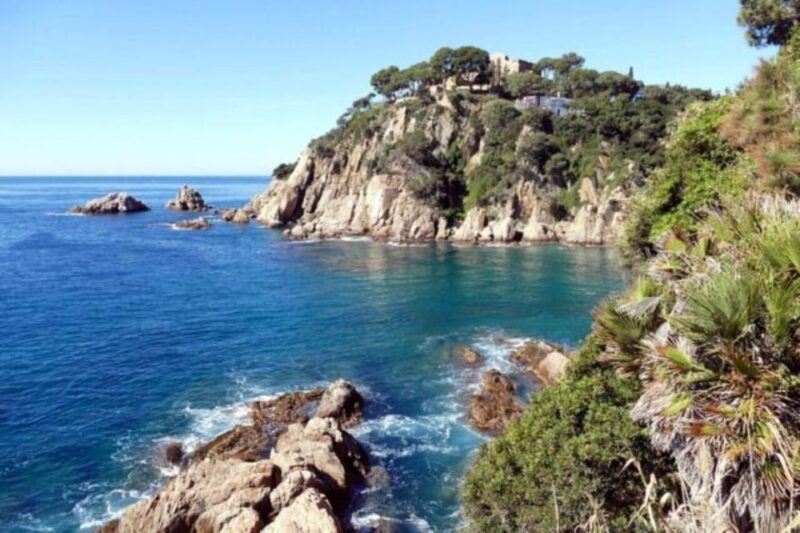 Barcelona: Private Tour Costa Brava Scuba Diving and Lunch - Authentic Experiences and Guest Feedback
