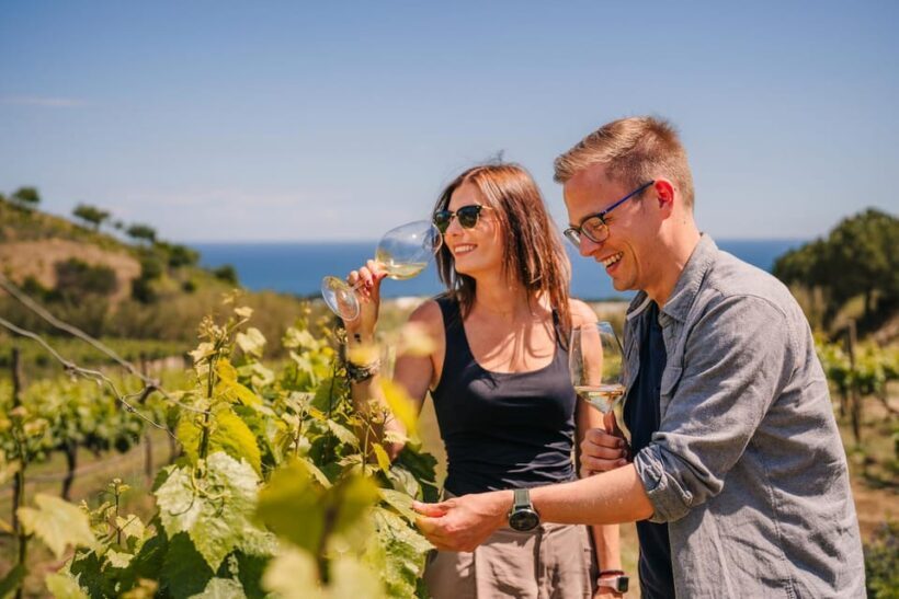 Barcelona: Sailing Cruise & Vineyard Tour with Wine Tasting - Who Should Consider This Tour?
