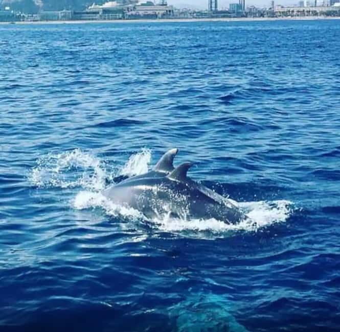 Barcelona: Sailing tours con capitán local, bebidas y snacks - Key Points