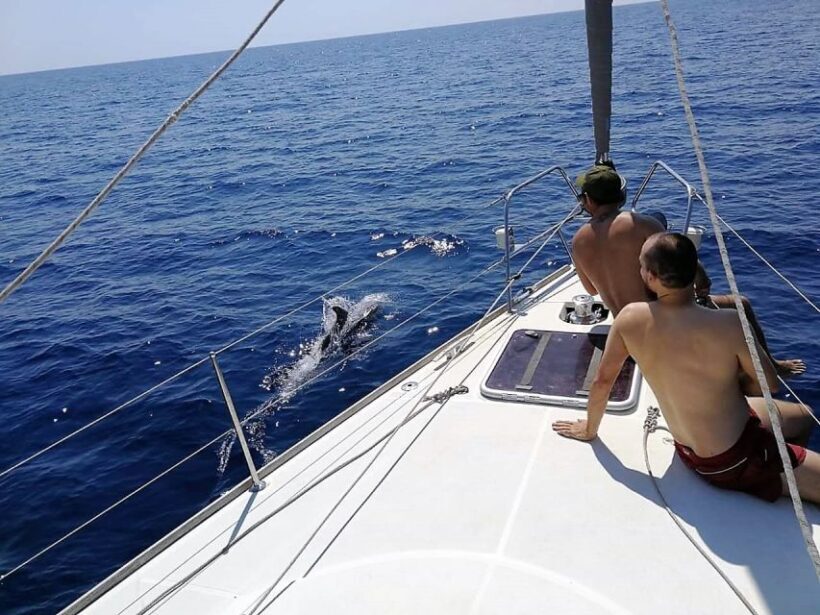 Barcelona: Sailing Trip with Drinks and Snacks - The Itinerary and What You’ll Experience