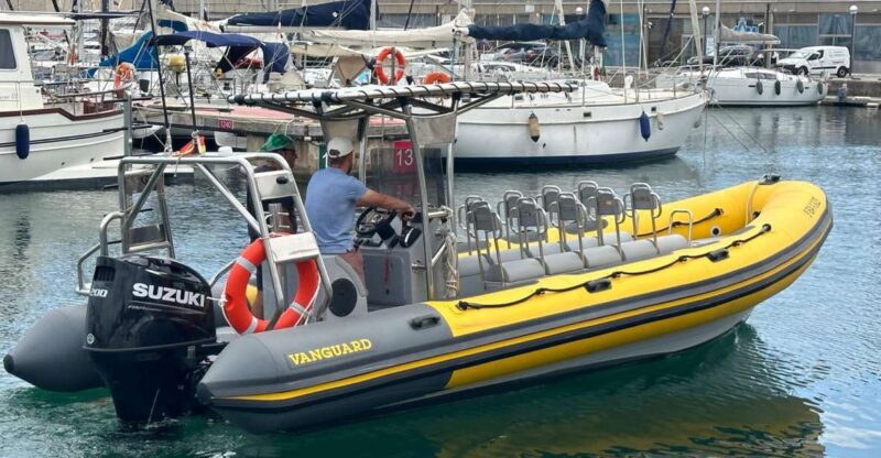 Barcelona: Speed boat skyline view - Why This Tour Works Well for Certain Travelers
