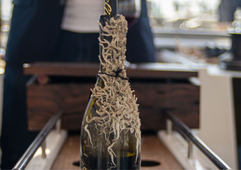 Barcelona: Submarine Winery Wine Tasting and Sailing Tour - The Sum Up