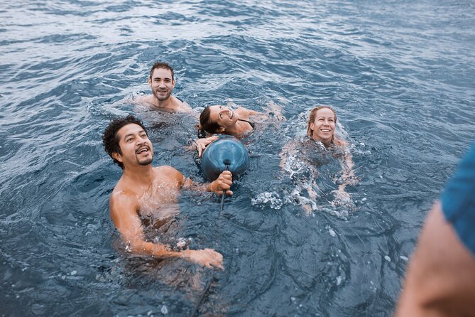 Barcelona Sunset Cruise With Open Bar of Cava - Suggestions for Improvement