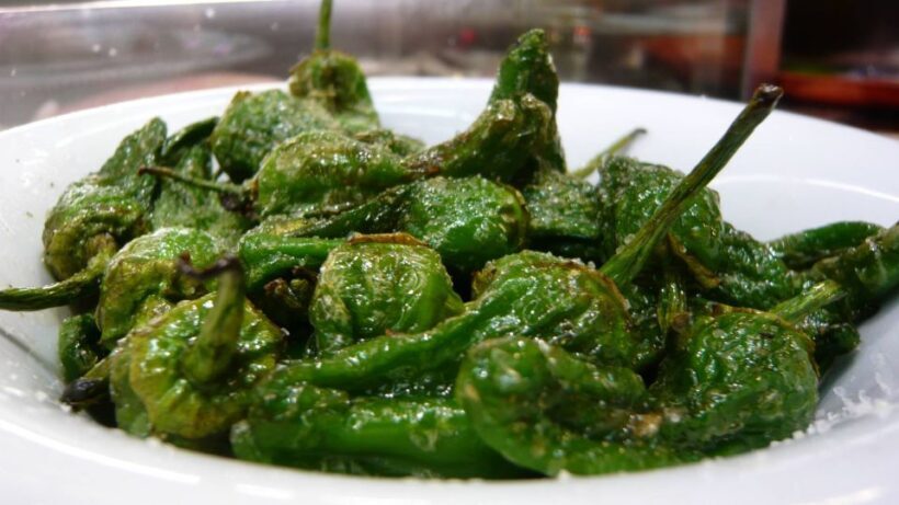 Barcelona: Tapas & Picasso Museum Guided Walking Tour - Who Will Love This Tour?