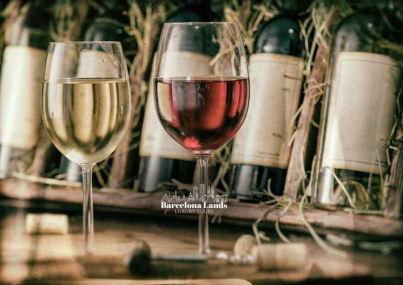 Barcelona: Tour Luxury for Priorat, Wine tasting & Lunch - Key Points