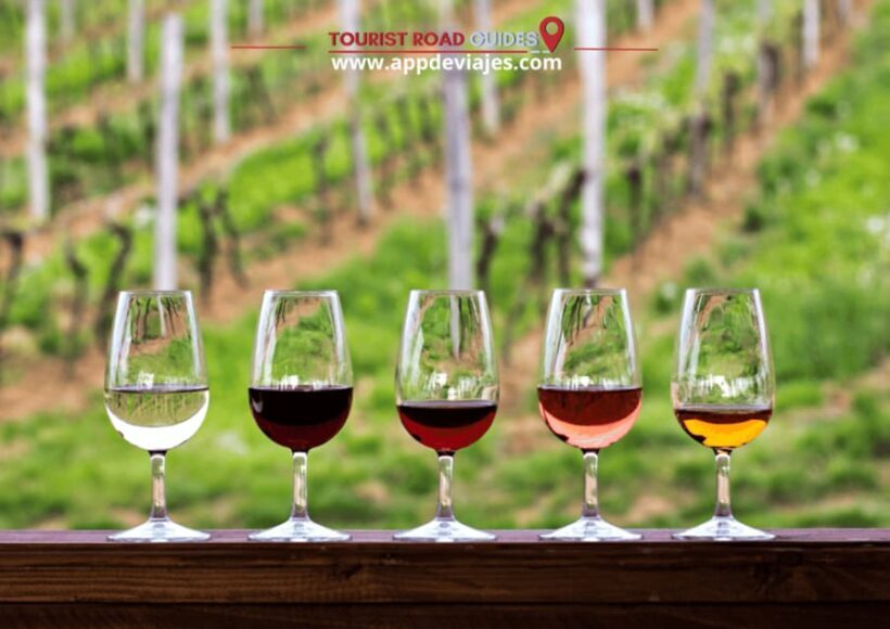 Barcelona: Tour Private Besalu, Dalí & Wine Tasting - Key Points