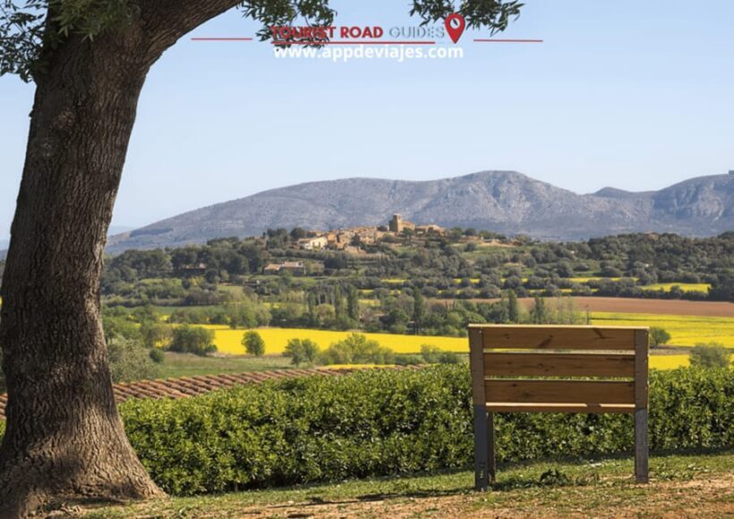 Barcelona: Tour Private Besalu, Dalí & Wine Tasting - Discovering Catalonias Hidden Treasures: A Deep Dive into the Tour