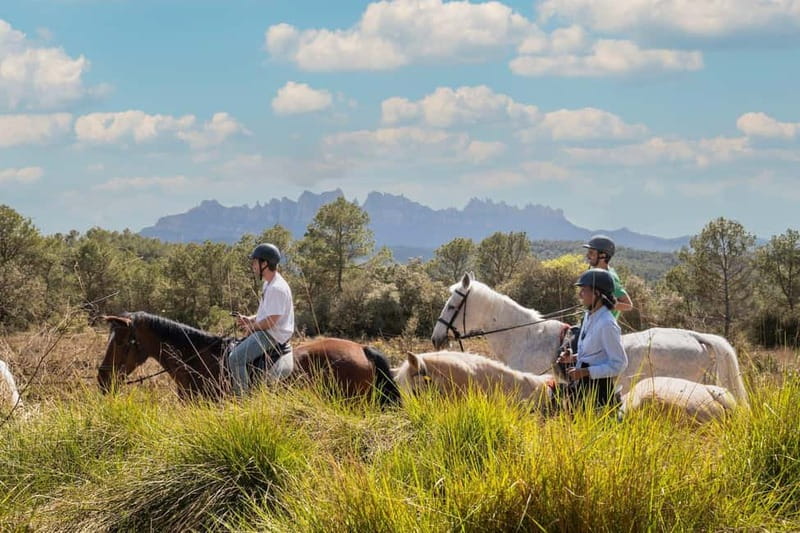 Barcelona: Walking and Horse Riding Day-Trip in Montserrat - Who Will Love This Tour?