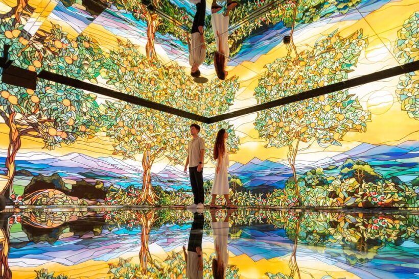 Barcelona: White Rabbit Catalonia's Top Immersive Experience - An In-Depth Look at the White Rabbit Experience