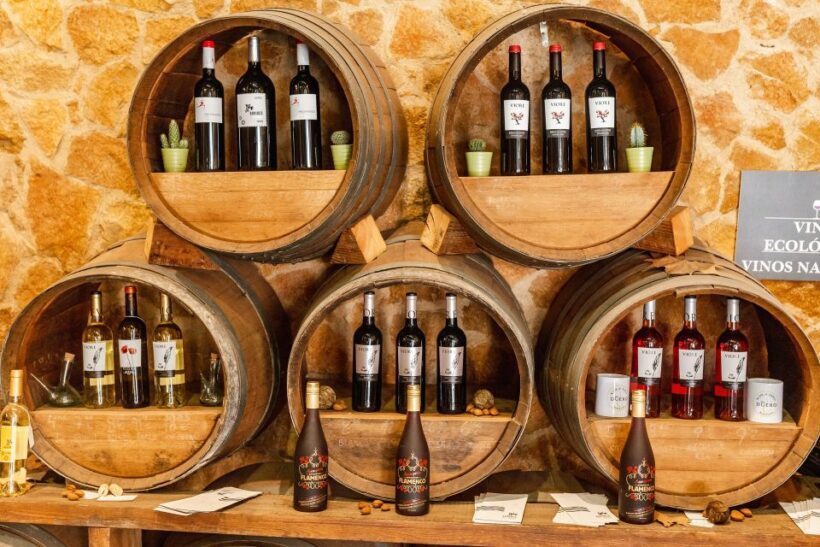 Barcelona Wine Tasting Private Tour with Wine Expert - An In-Depth Look at the Tour