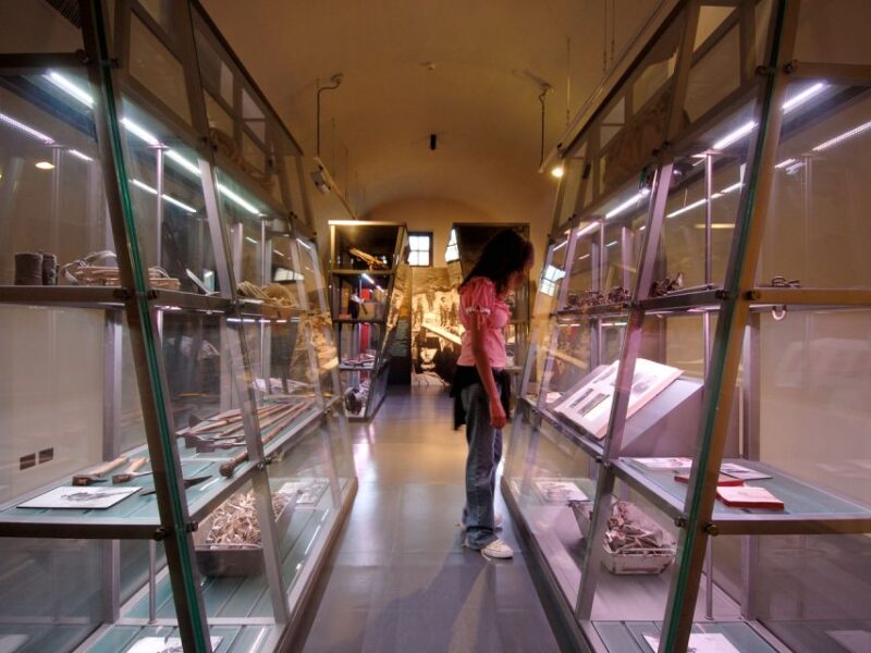 Bard: Fortress Exhibitions and Museums Entrance - Temporary Exhibitions and Other Highlights