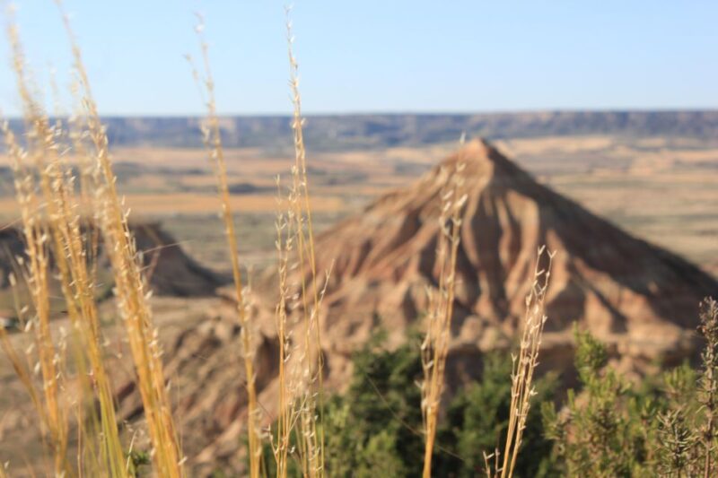 Bardenas Reales: Guided tour in 4x4 private vehicle - Authentic Experiences and Traveler Feedback