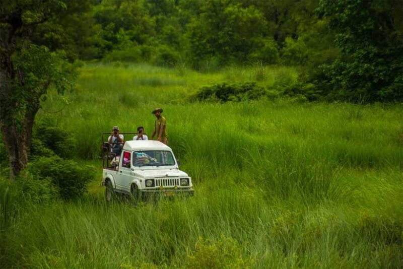 Bardiya National Park: Treehouse Stay with Wildlife Safari - Logistics and Practical Details
