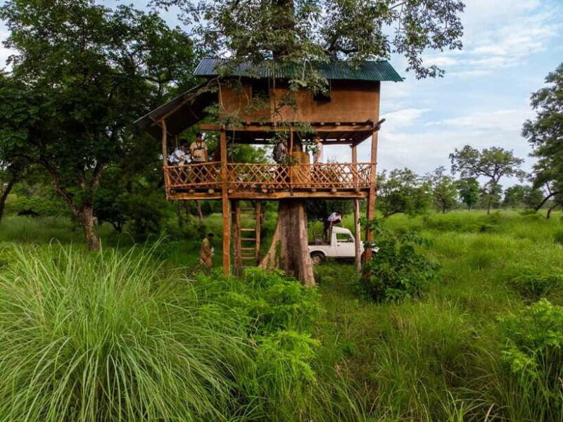 Bardiya National Park: Treehouse Stay with Wildlife Safari - What’s Included and What’s Not