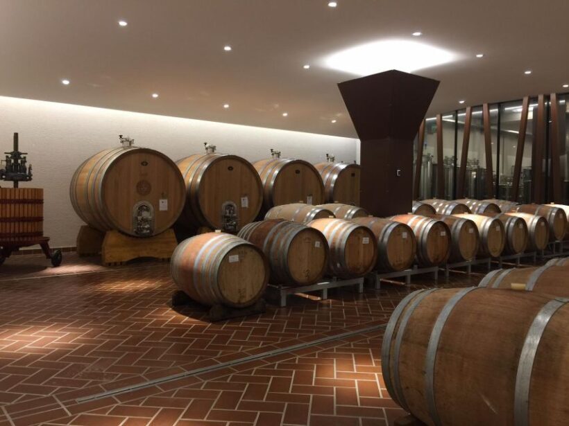 Bardolino: tasting of 6 red Valpolicella and Garda wines - The Sum Up