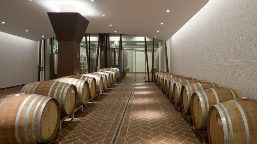Bardolino: tasting of 6 White and Rosè wines with Lake view - Final Thoughts on Value and Who It’s For