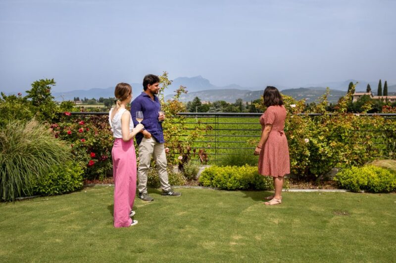 Bardolino: Vineyard Tour with Wine and Food Tasting - What You Should Know Before You Go