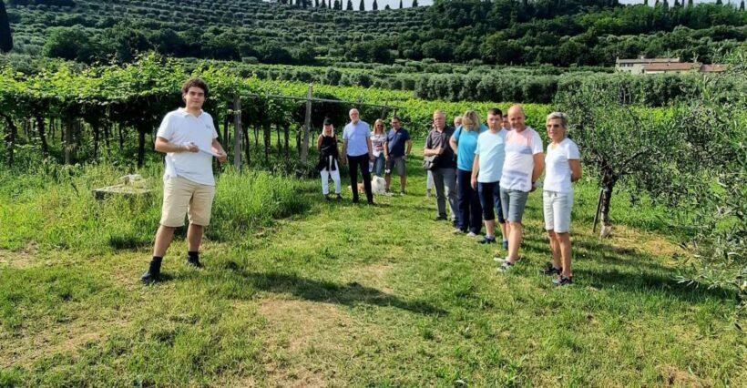 Bardolino: Vineyard Tour with Wine, Olive Oil & Food Tasting - A Deep Dive into the Experience