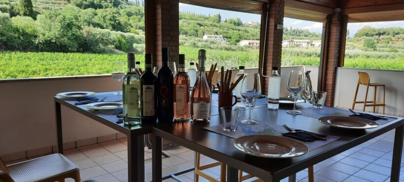 Bardolino: Vineyard Tour with Wine, Olive Oil & Food Tasting - Final Thoughts