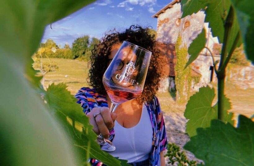 Bardolino: wine and food tasting on lake Garda Hills - Introduction