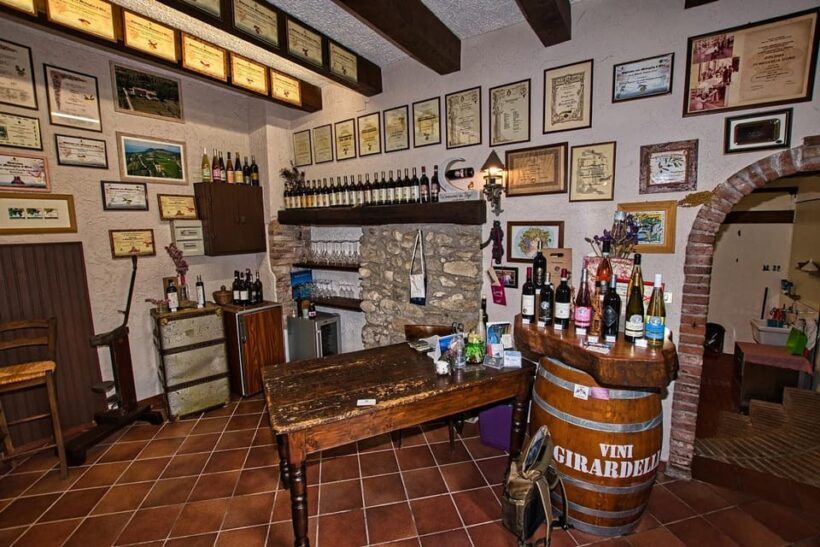 Bardolino: wine and food tasting on lake Garda Hills - Who This Tour Is Perfect For