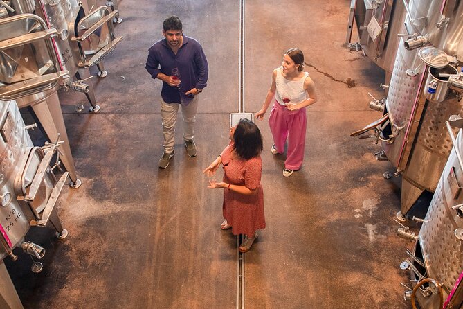 Bardolino Wine Experience - Winery and Vineyard Exploration