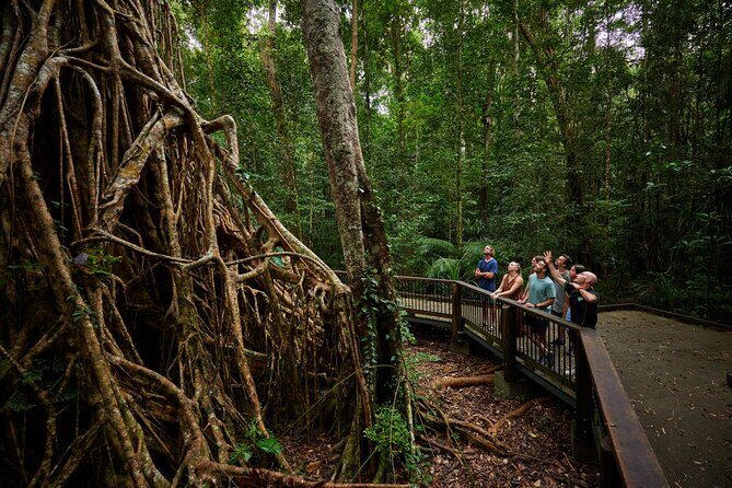 Barefoot Atherton Tablelands Adventure by Cairns Waterfalls - The Itinerary in Detail