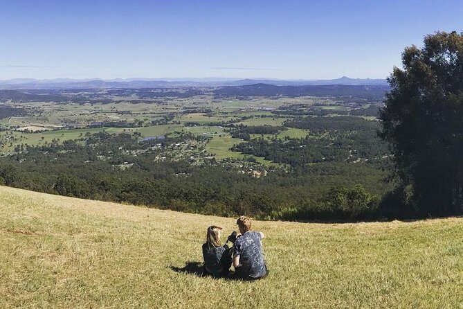 Barefoot Luxury Mount Tamborine Winery Tour from Gold Coast - Exploring the Barefoot Luxury Mount Tamborine Winery Tour from Gold Coast