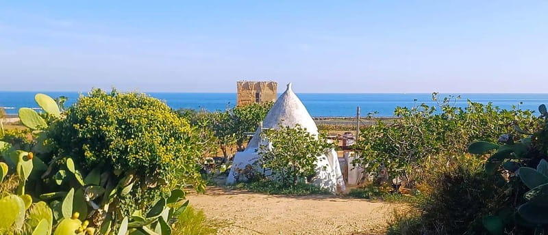 Bari: Tour Polignano Alberobello Matera (Private or Shared) - Authenticity, Comfort, and Customization