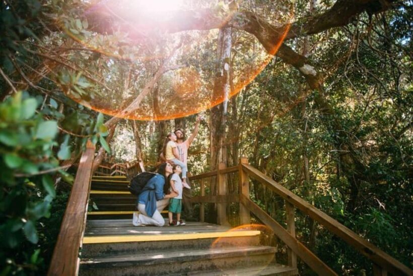 Bariloche: Arrayanes Forest and Victoria Island Tour - Real Traveler Perspectives