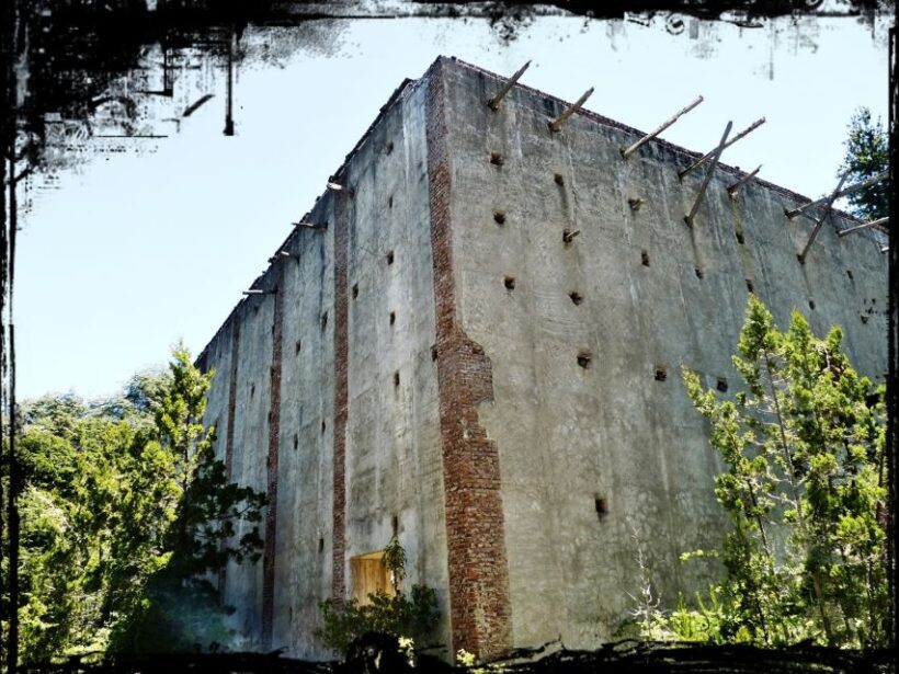 Bariloche: German Immigration and History Walking Tour - Practical Details and Tips