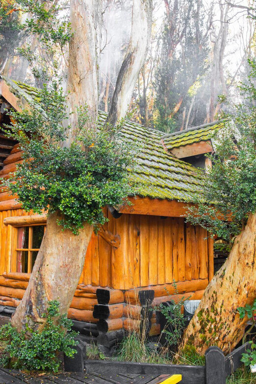 Bariloche: Victoria Island and Arrayanes Forest Navigation - Exploring Patagonia’s Hidden Gems: Victoria Island and Arrayanes Forest Navigation