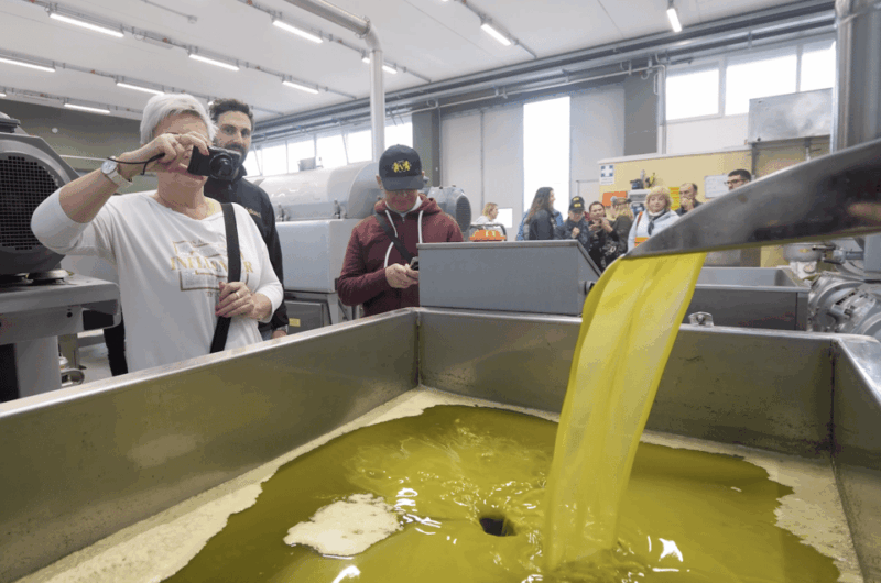 Barletta-Andria-Trani: oil mill tour and oil tasting - Exploring the Apulian Olive Oil Tour