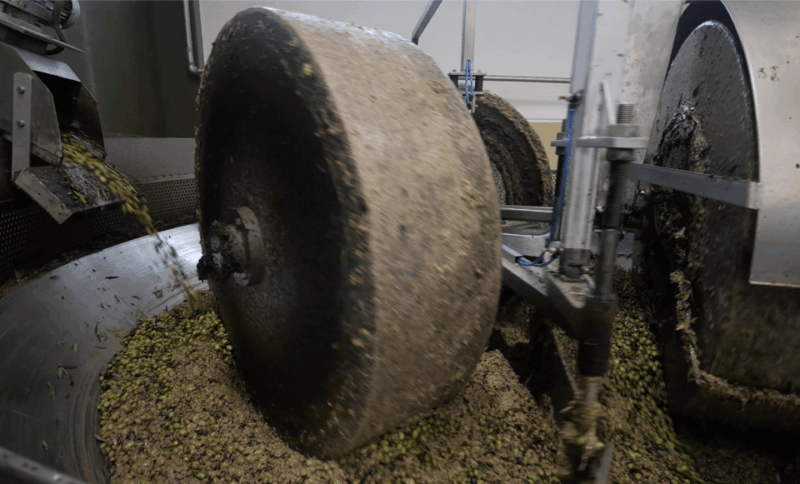 Barletta-Andria-Trani: oil mill tour and oil tasting - Final Thoughts