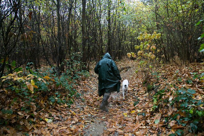 Barolo & Barbaresco Wine Tour With a Sommelier - Visiting Winemakers and Tasting Vintages