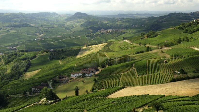 Barolo: Guided Scenic E-Bike Tour with Wine Tasting - An In-Depth Look at the Barolo E-Bike Tour