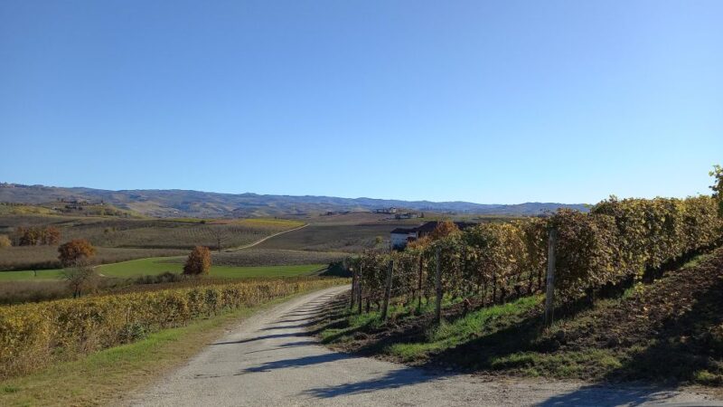 Barolo Langhe Wine Tour - The Role of the Guide and Transportation