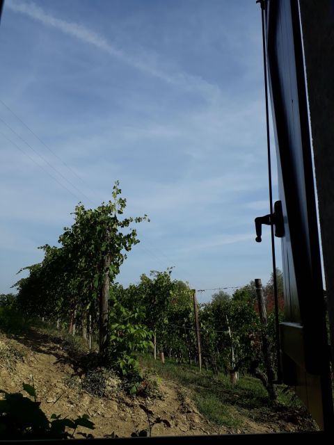 Barolo Langhe Wine Tour - Is the Price Worth It?