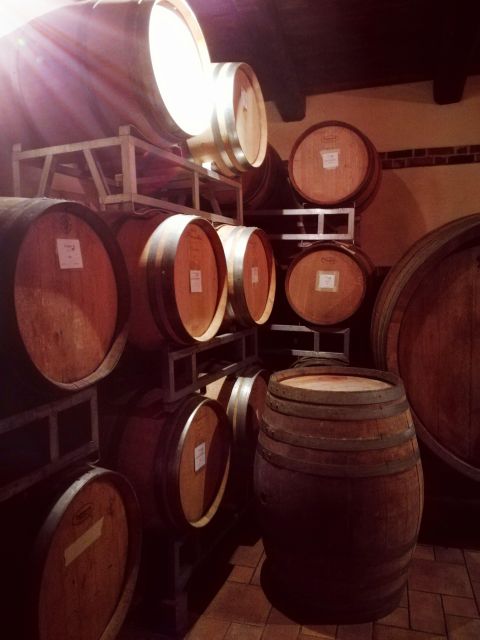 Barolo Langhe Wine Tour - The Authentic Experience and What You Might Miss