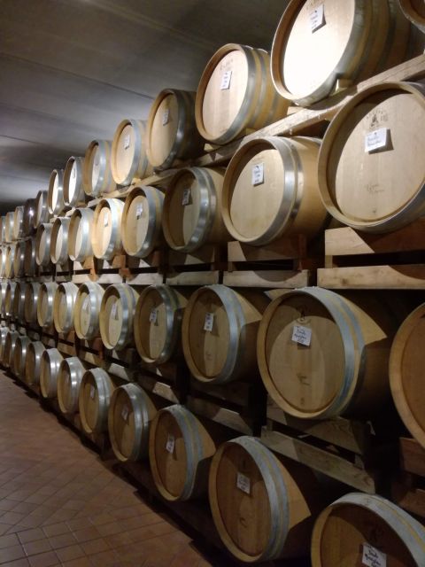 Barolo Langhe Wine Tour - Final Thoughts: Is It Worth It?