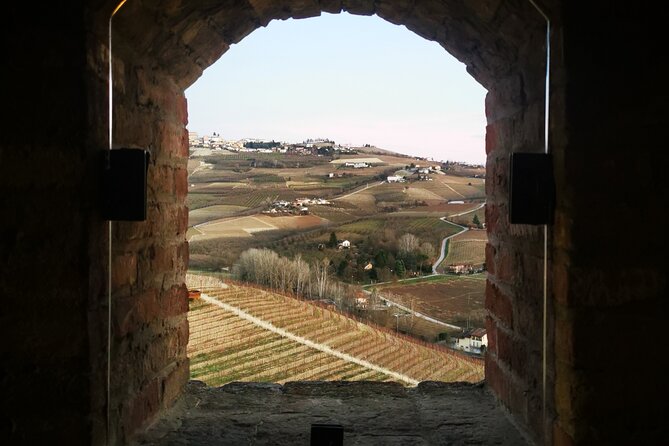 Barolo Wine Tasting, Alba, UNESCO Castle: Small Group From Milan - Indulge in a Guided Wine Tasting Experience