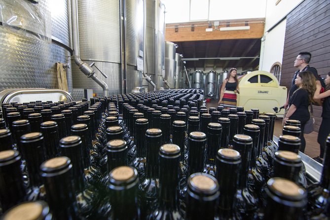 Barolo Wine Tour - Tasting the Renowned Barolo and Nebbiolo