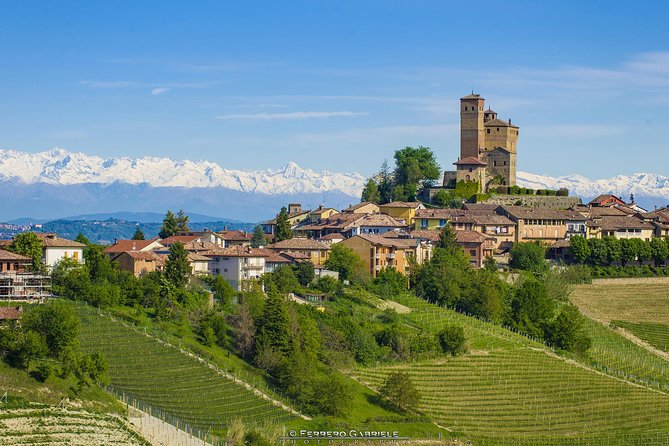 Barolo Wine Tour - Guest Reviews and Feedback