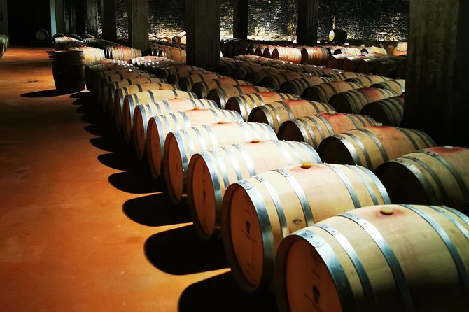 Barolo&Barbaresco Wine Tour With a Local Winemaker - Immersive Cellar Tours in the Historic Langhe Region