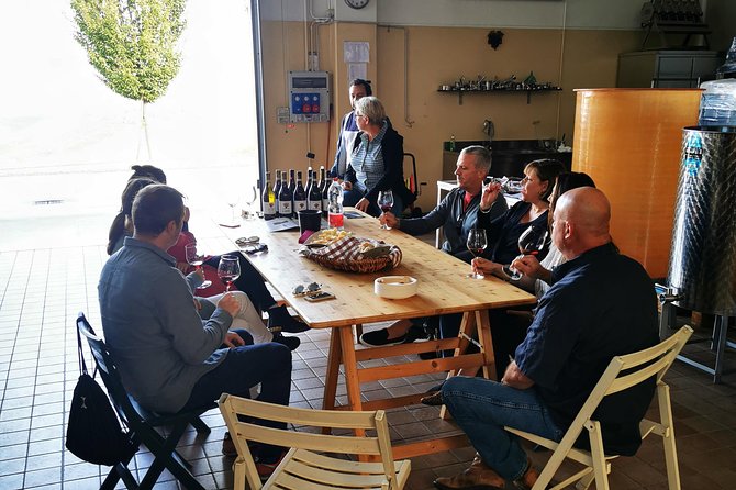 Barolo&Barbaresco Wine Tour With a Local Winemaker - Traveler Experiences and Feedback