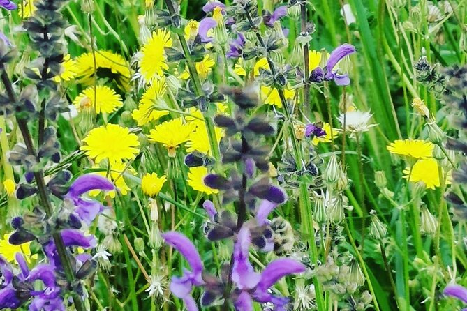 Barolo&Barbaresco wine tour with a local winemaker from Asti - Frequently Asked Questions