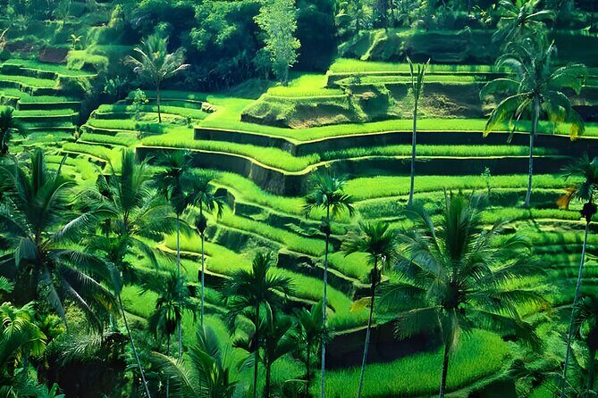 Barong Dance, Ubud and Tanah Lot Sunset Tour - FAQ
