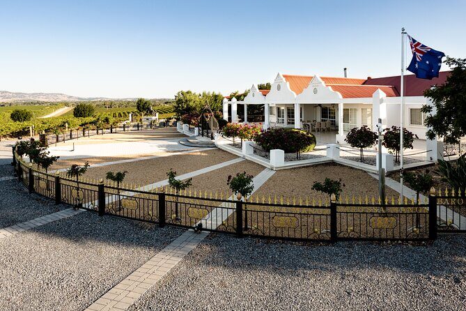 Barossa 4 Hours Wine Experience and Vineyard Walk with Lunch - An In-Depth Look at the Tour